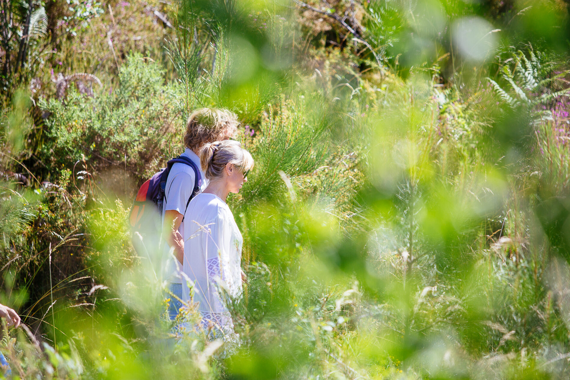 Domaine des lacs d'Hostens - La Gironde du Sud