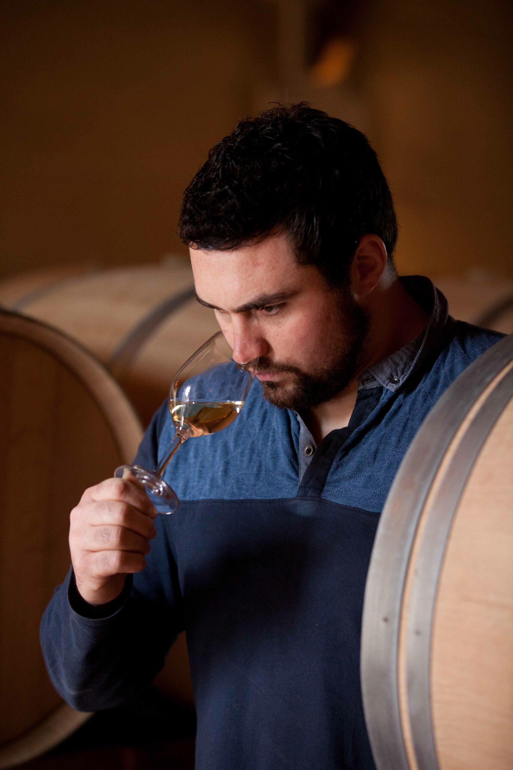 Domaine de Grandmaison - La Gironde du Sud